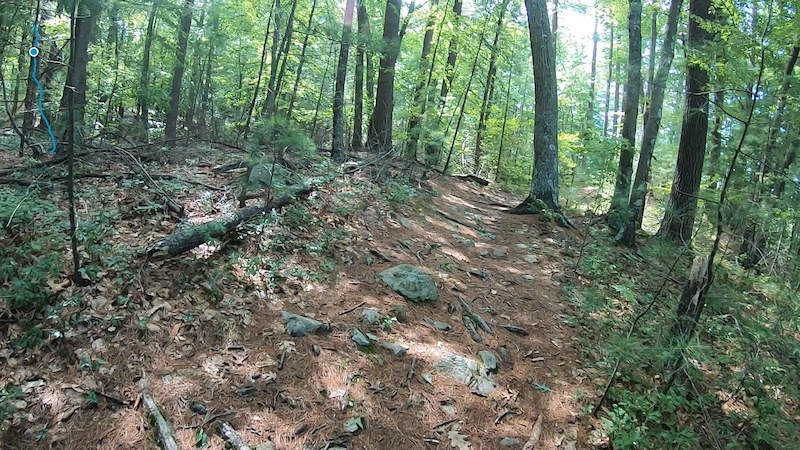 Boxford State Forest, Boxford Mountain Biking Trails | Trailforks
