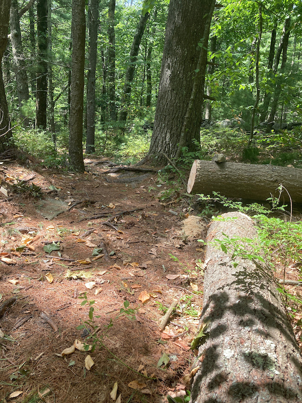 Red Bat Trail Multi Trail - Mendon, Massachusetts
