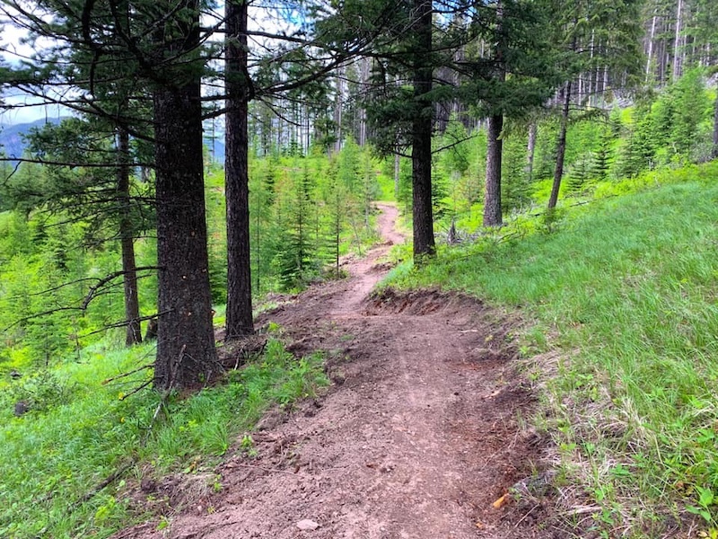 Lunch Loop Multi Trail - Sparwood, British Columbia
