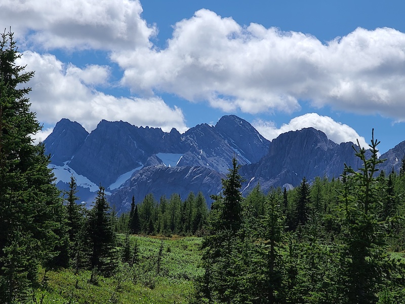 Little Elbow Mountain Biking Trail - Bragg Creek, Alberta