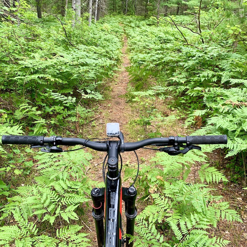 Wakely Main Loop Hiking Trail - Grayling, Michigan