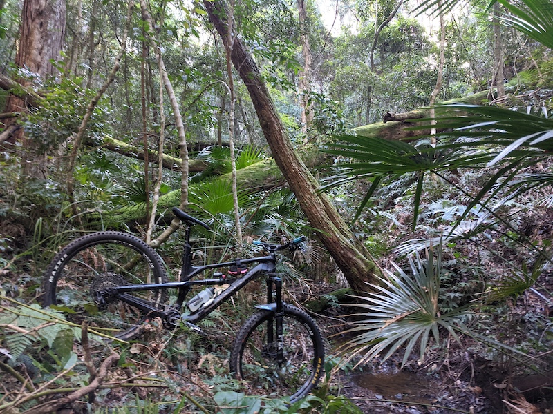 Grand Deep Mountain Biking Trail - Terrigal | Trailforks