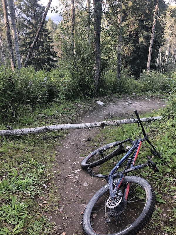 Childs Play - Berm Line Mountain Biking Trail - Smithers