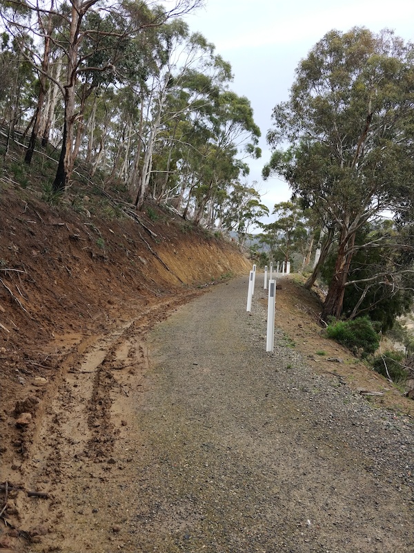 Forest Road Fire Trail Mountain Biking Trail - Hobart