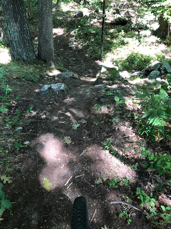 Track 020 Multi Trail - Boxford, Massachusetts