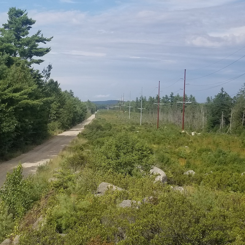 Aug 13, 2020 Down East Sunrise Trail (DEST) Trail Report | Trailforks