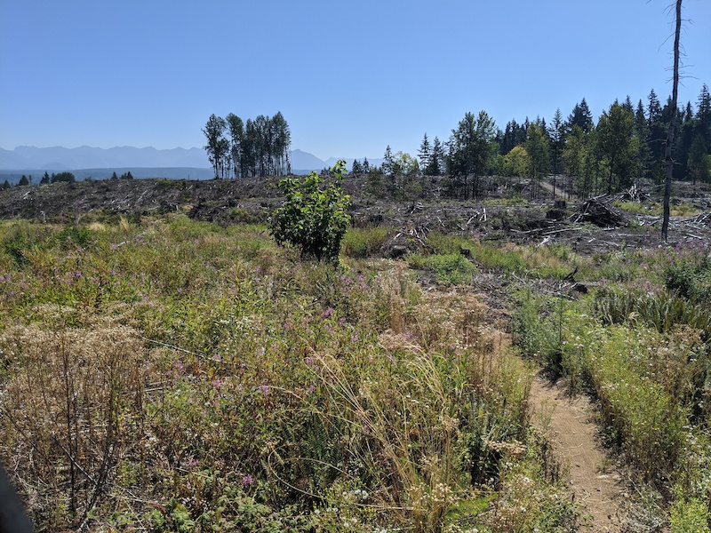 Tour de Stump Mountain Biking Trail - Carnation, WA