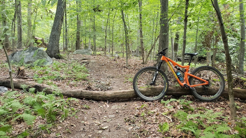 Taconic Bridge-Pink (Granite Knolls) Mountain Biking Trail - Yorktown