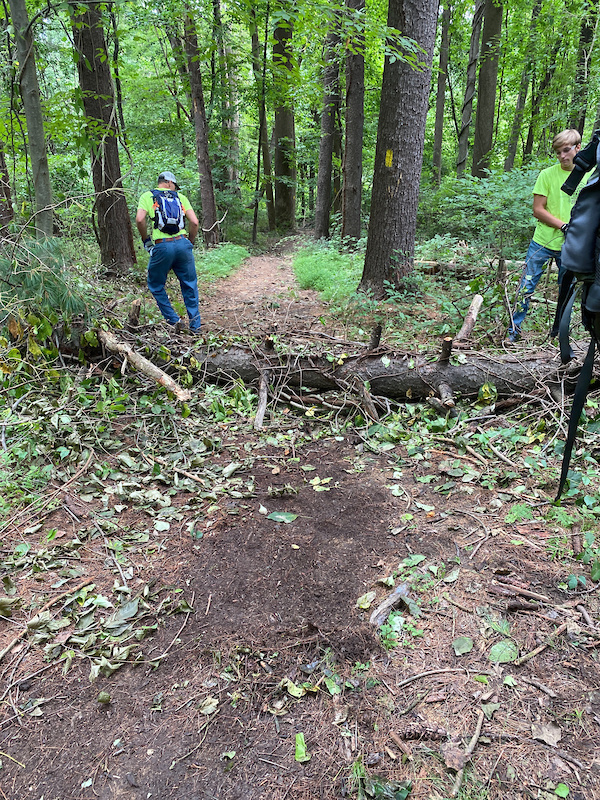 Ferndale Trail - Antietam Lake Park Multi Trail - Reading