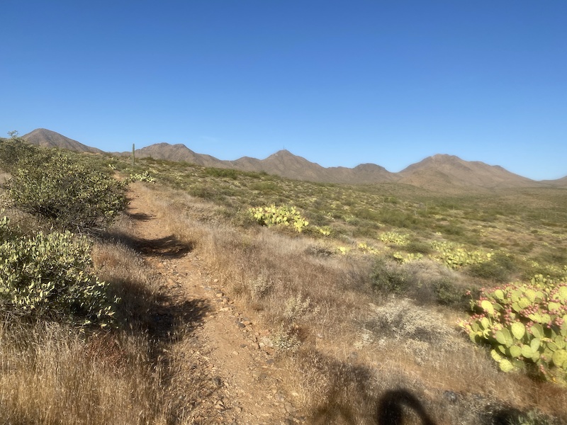 Dixie Mine Trail Multi Trail - Fountain Hills, Arizona