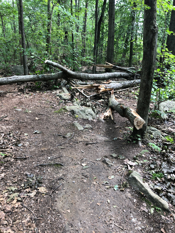 Burn Loops Mountain Biking Trail - Redding, Connecticut