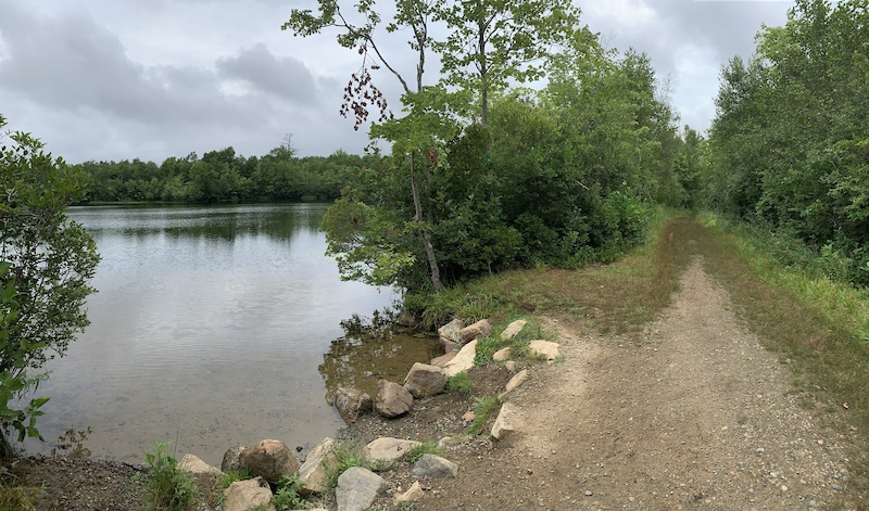 Gull Pond Loop Mountain Biking Trail - Wenham, MA