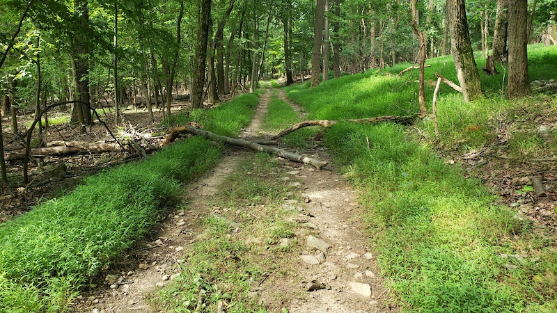 Ferndale Trail - A-line section Multi Trail - Reading