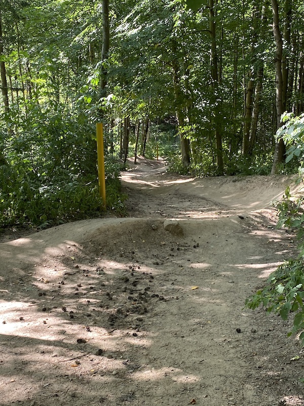 Family Trail MOLYNĖ Mountain Biking Trail - Vilnius