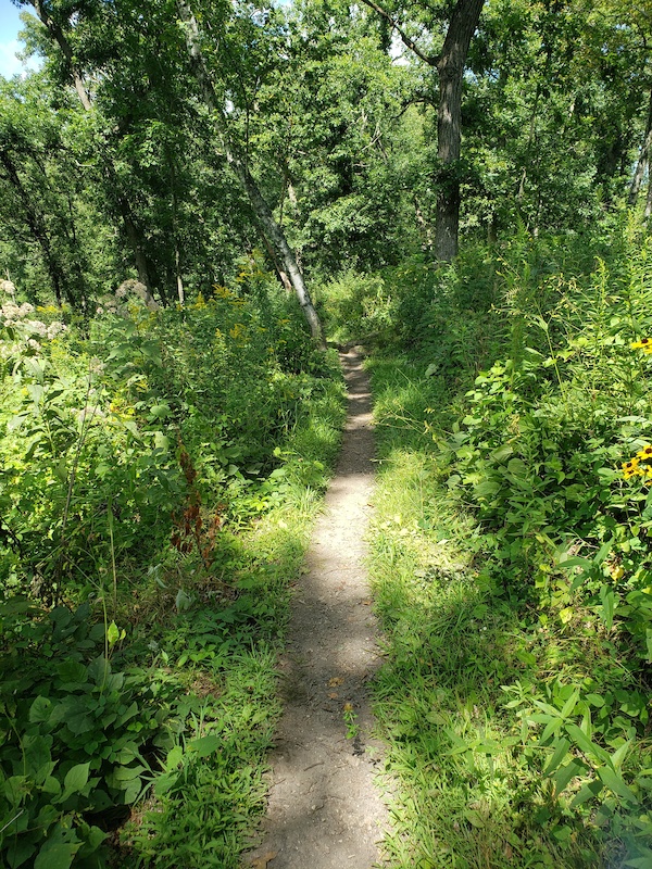 Ice Age (South Table Bluff) Hiking Trail - Cross Plains, WI