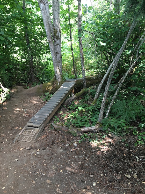 Access Trail Mountain Biking Trail - Renton, Washington