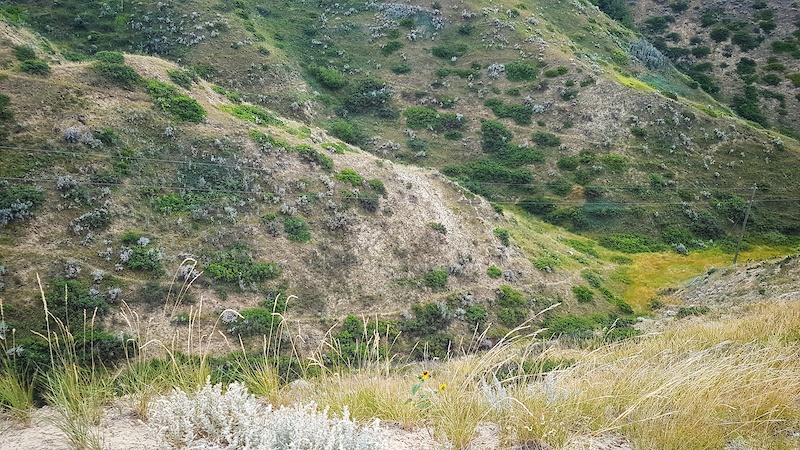 Pavan Park, Lethbridge Mountain Biking Trails | Trailforks
