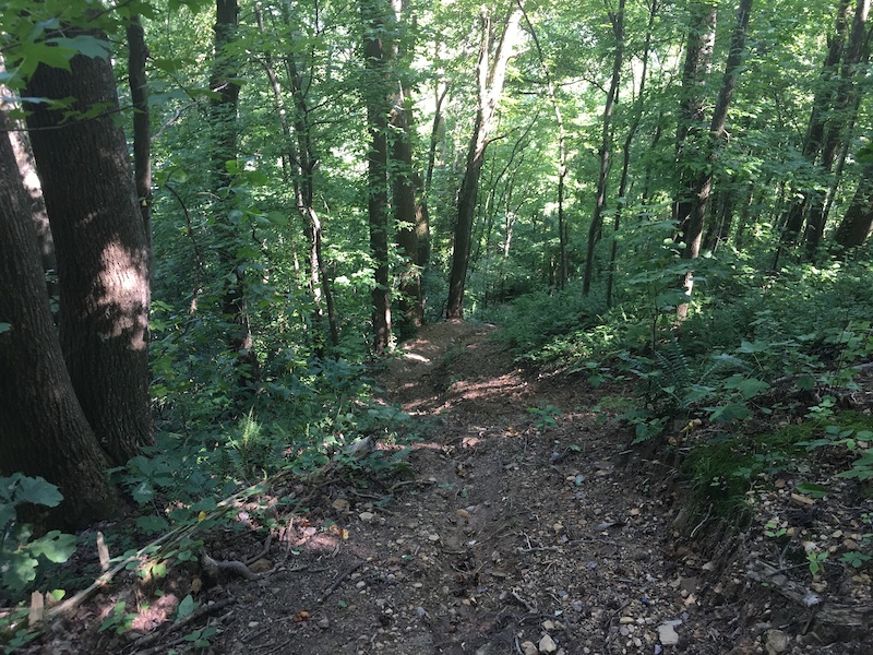 Horseface Mountain Biking Trail - Oliver Springs, TN
