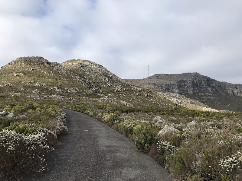 Constantiaberg Mast Multi Trail - Tokai | Trailforks