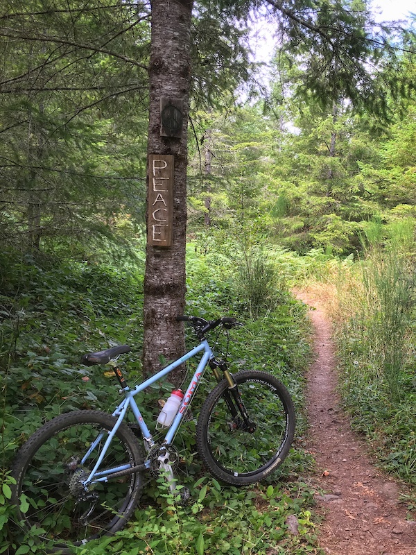 Peace Sign Trail Mountain Biking Trail - Maple Valley