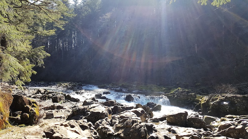 2.5 Mile Trail Mountain Biking Trail - Battle Ground