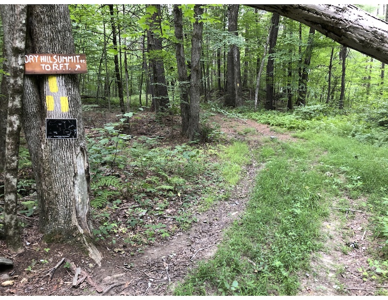 Dry Hill Summit Loop Multi Trail - Montague, MA