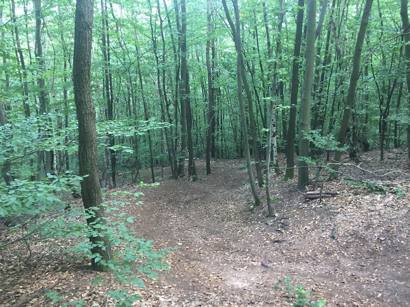 Freital, Germany Mountain Biking Trails | Trailforks