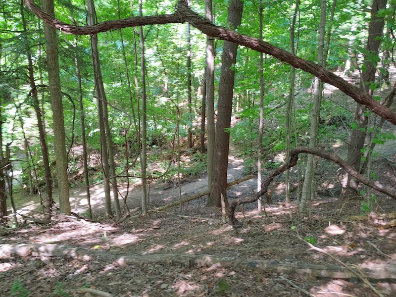 Hogback Ridge Loop Mountain Biking Trail - Madison, Ohio