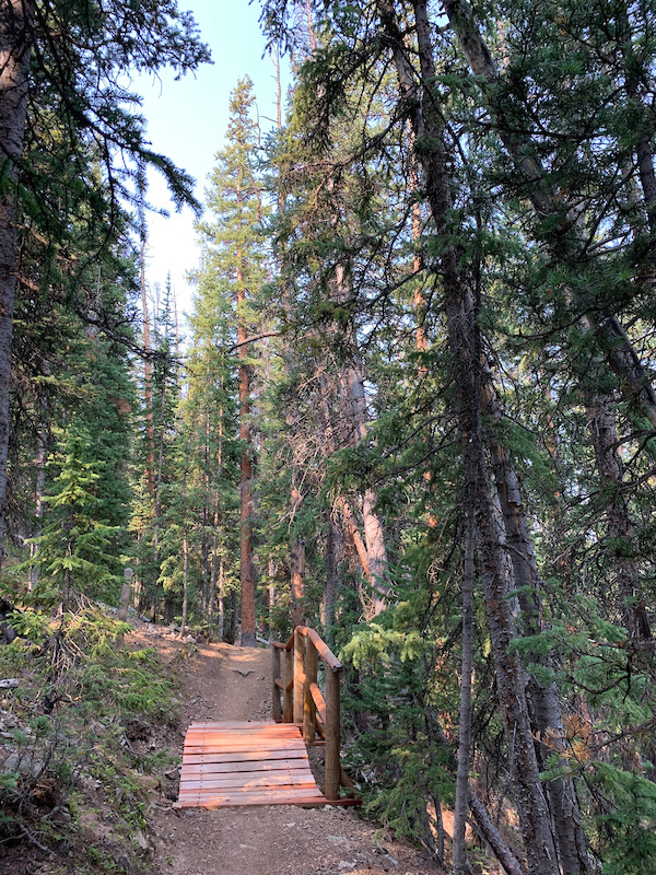 Trail of Tears Mountain Biking Trail - Breckenridge, CO
