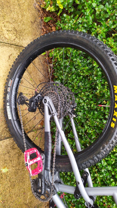 WTB Scraper i45 on Hope/SantaCruz hubs For Sale