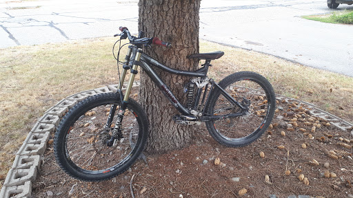 medium frame dh bike For Sale