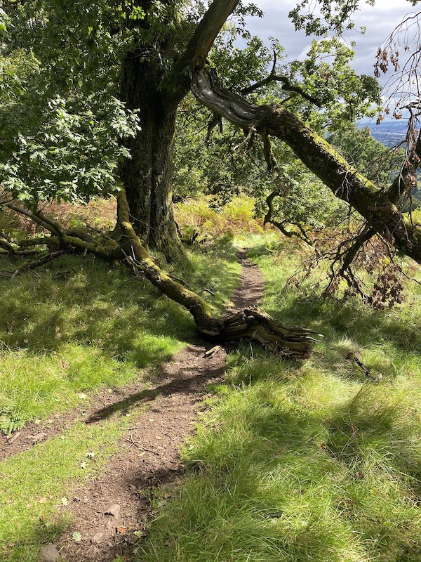 Smell My Fingers Hiking Trail - Glasgow | Trailforks