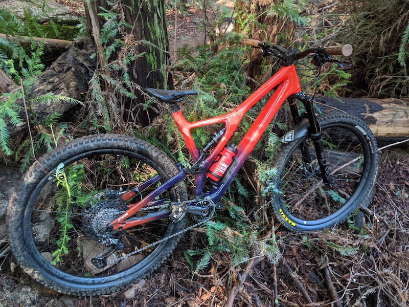2019 Specialized Stump Jumper Limited Edition XL For Sale