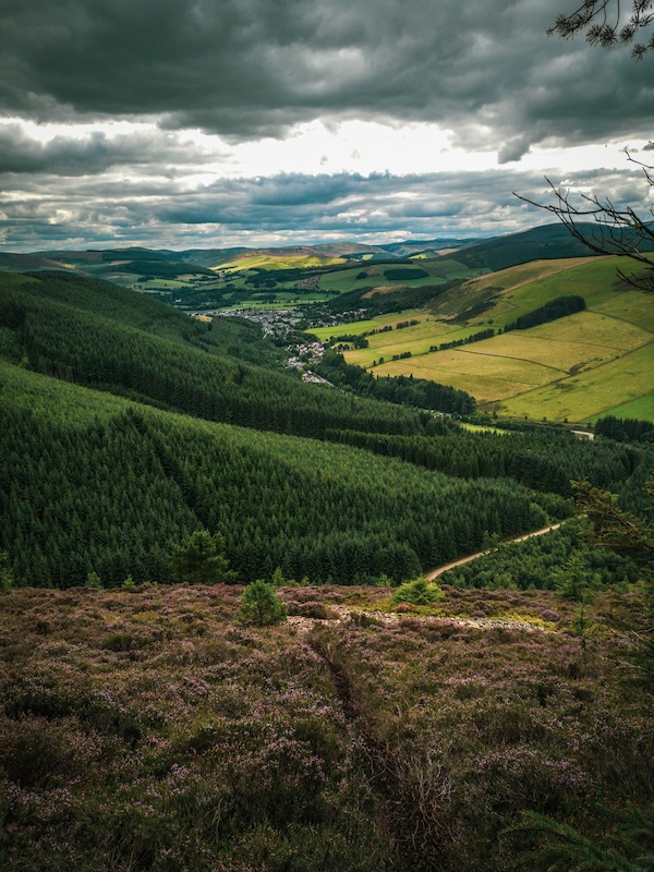 EWS 2022 #1 Tweed Valley Mountain Biking Route | Trailforks