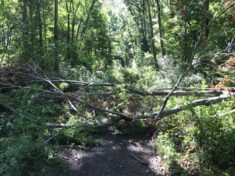 Air Line State Park Trail Multi Trail - Thompson, CT