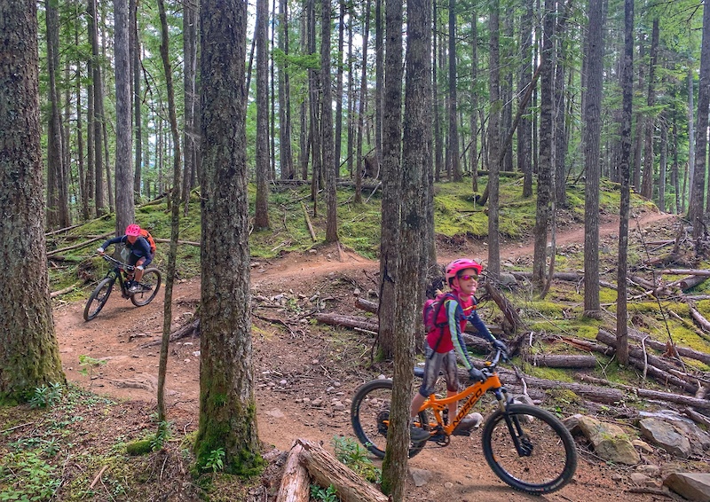Leap Frog Mountain Biking Trail - Revelstoke, BC