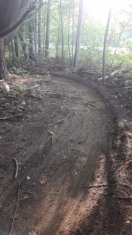 Hickling Kids Loop Black Mountain Biking Trail - Midhurst