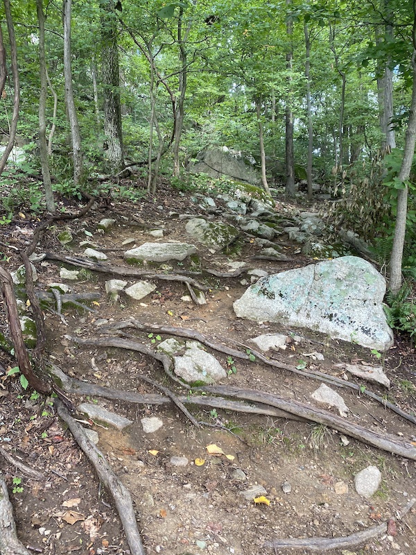 Bear Creek Mountain Resort Mountain Biking Trails | Trailforks