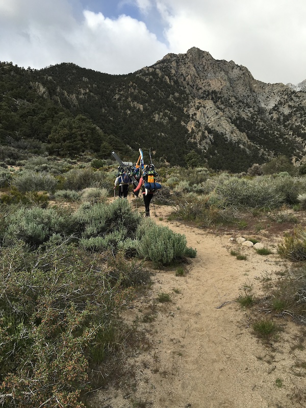 Shepherd Pass Trail Hiking Trail - - California