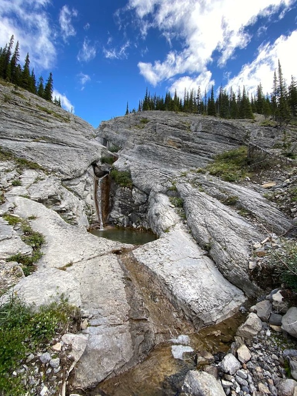 South Boundary (Rocky/Cardinal Pass) Multi Trail - Jasper