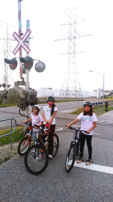 Toronto Classic Loop Mountain Biking Route | Trailforks