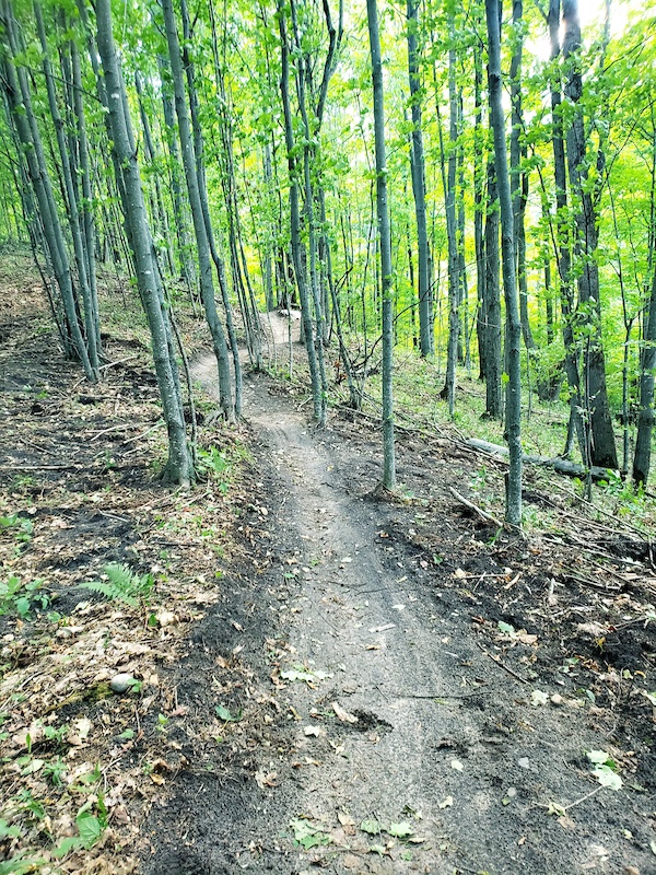 Black Trail Mountain Biking Trail - Petoskey, Michigan