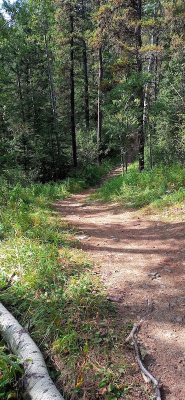 Telephone Loop Multi Trail - Bragg Creek, Alberta