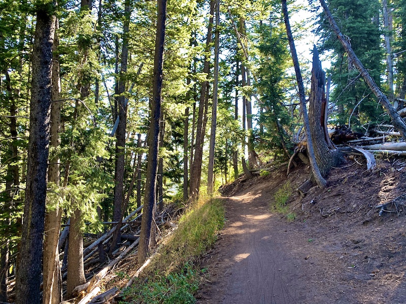 Snowbasin Sardine-Middle Fork-Green Pond-Needles Loop Mountain Biking ...