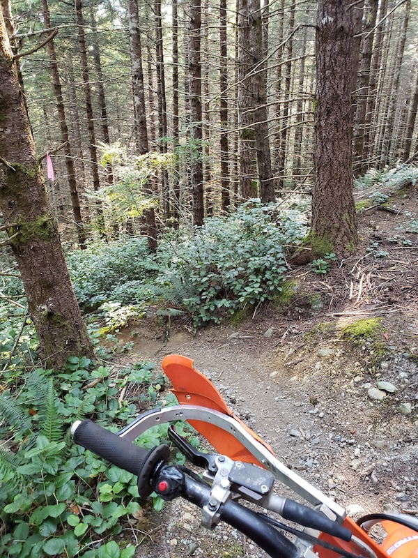 Intermediate Dirt bike Loop Dirtbiking Route | Trailforks