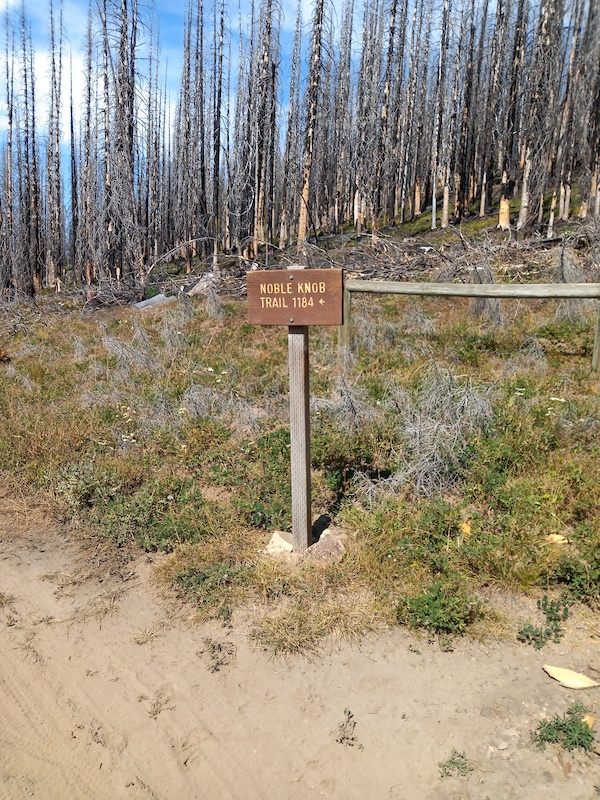 Corral Pass Road Multi Trail - Greenwater, Washington