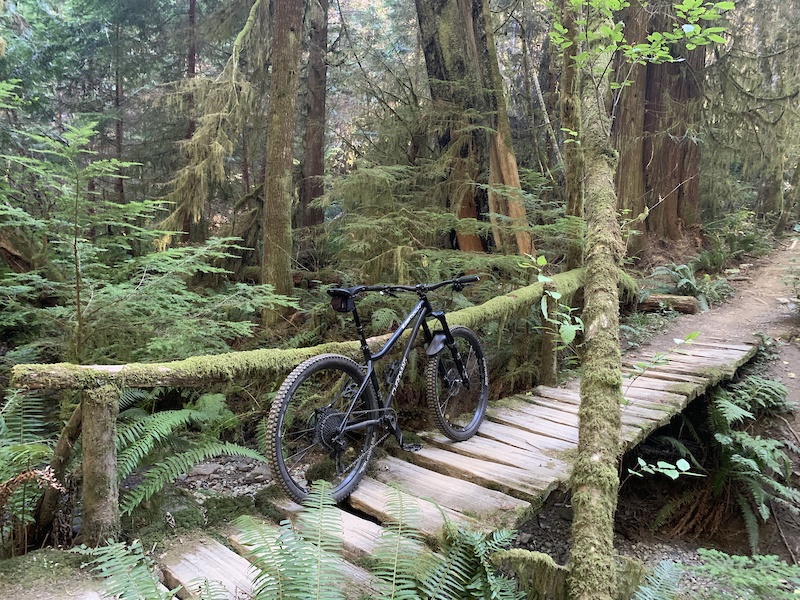 West Sechelt Trails Beginner Loop Mountain Biking Route | Trailforks