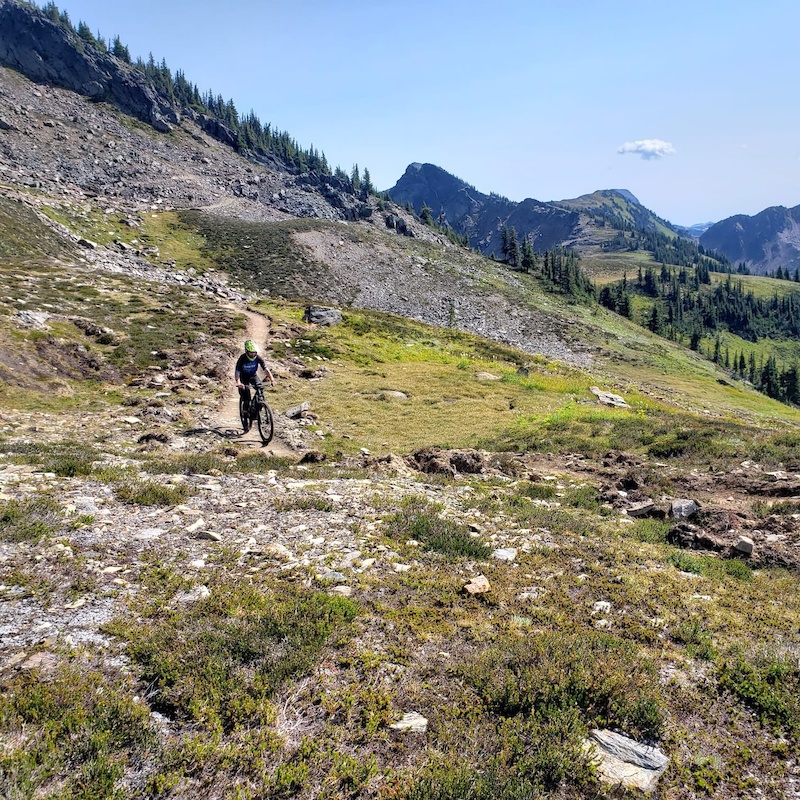 Mackenzie Ridge Mountain Biking Trail - Revelstoke