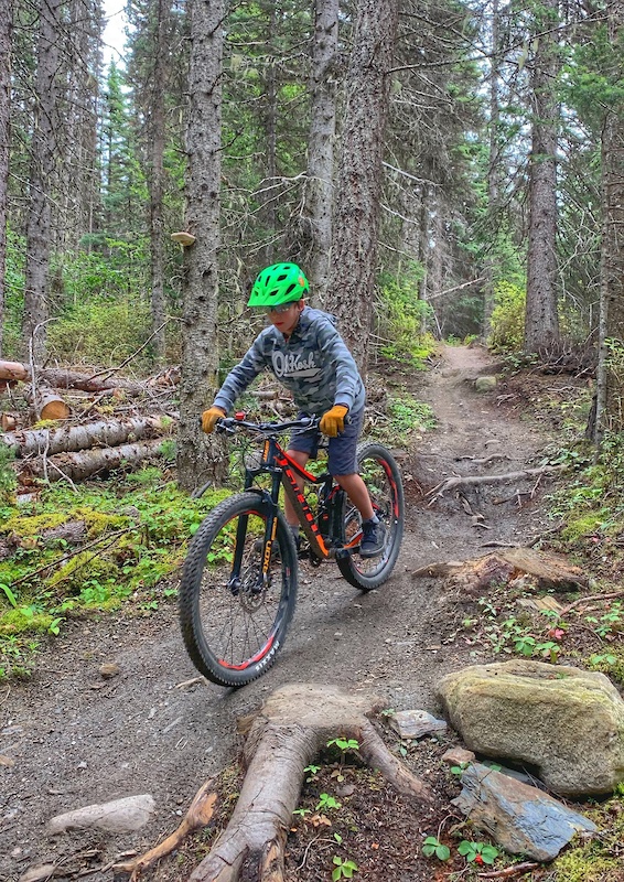 Stinger Mountain Biking Trail - Valemount, BC