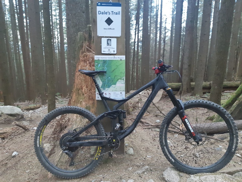 2019 Devinci spartan mullet For Sale